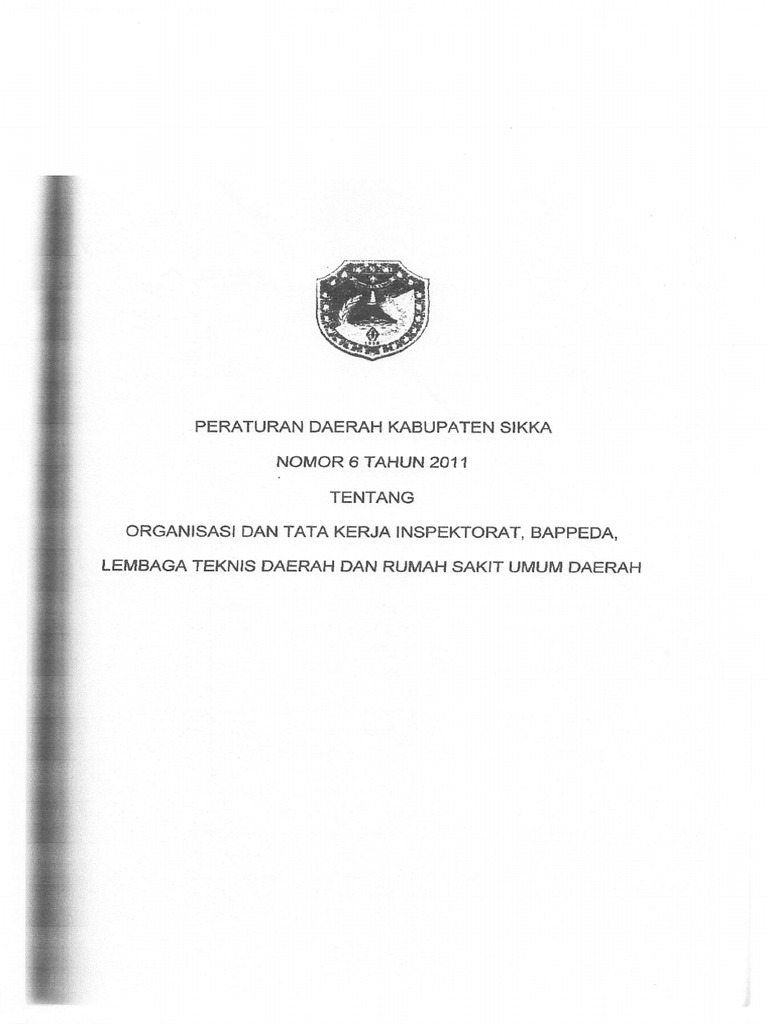 Perbup Sotk Rsud | PDF