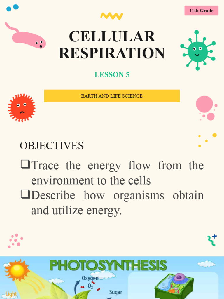5eal Cellular Respiration | PDF | Cellular Respiration | Electron ...