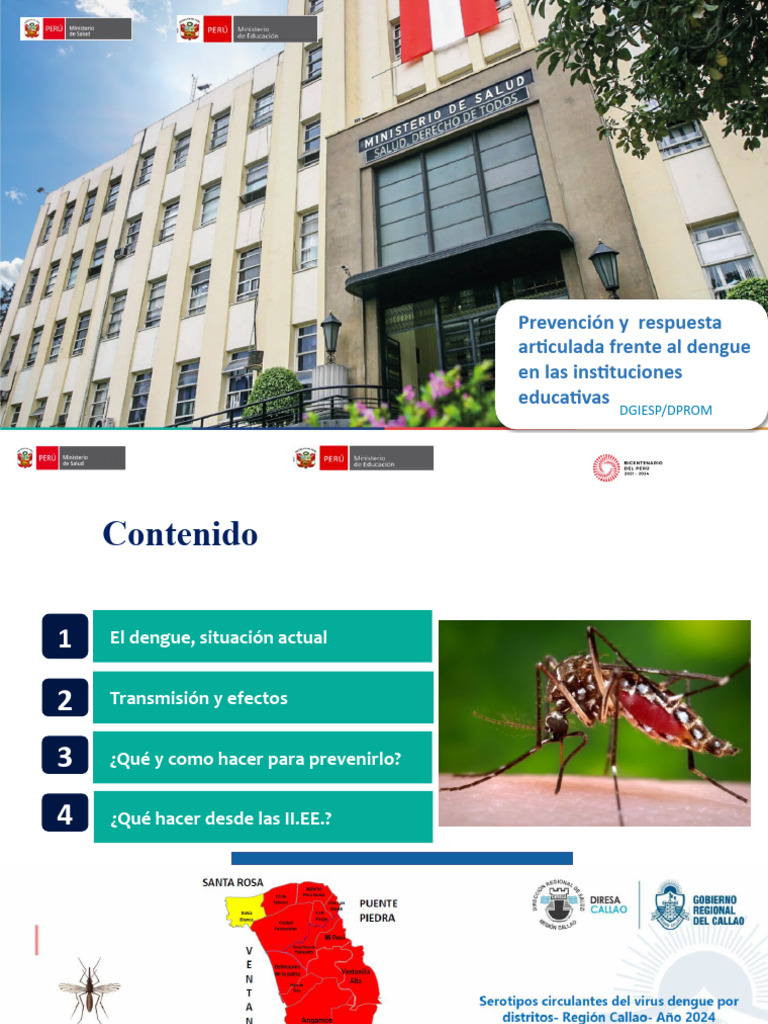 Acciones en Iiee Dengue - Iiee 02.2024 Yalr-1 | PDF | Aedes aegypti | Medicina CLINICA