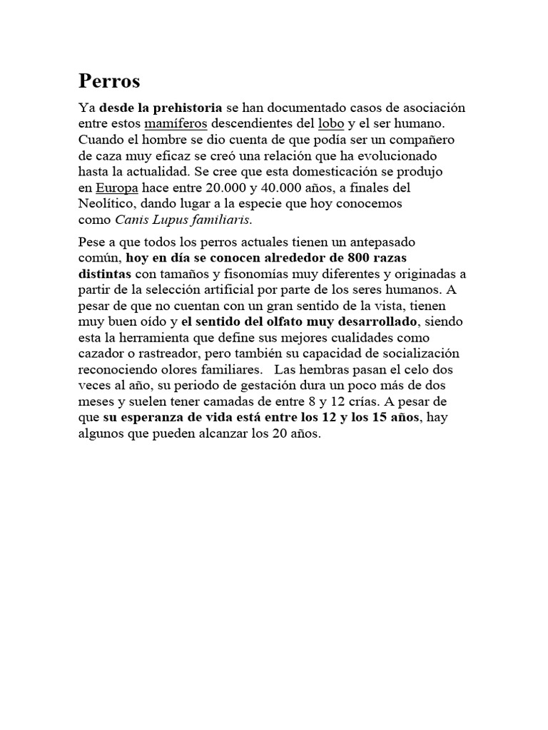 Perros | PDF | Perro tejonero