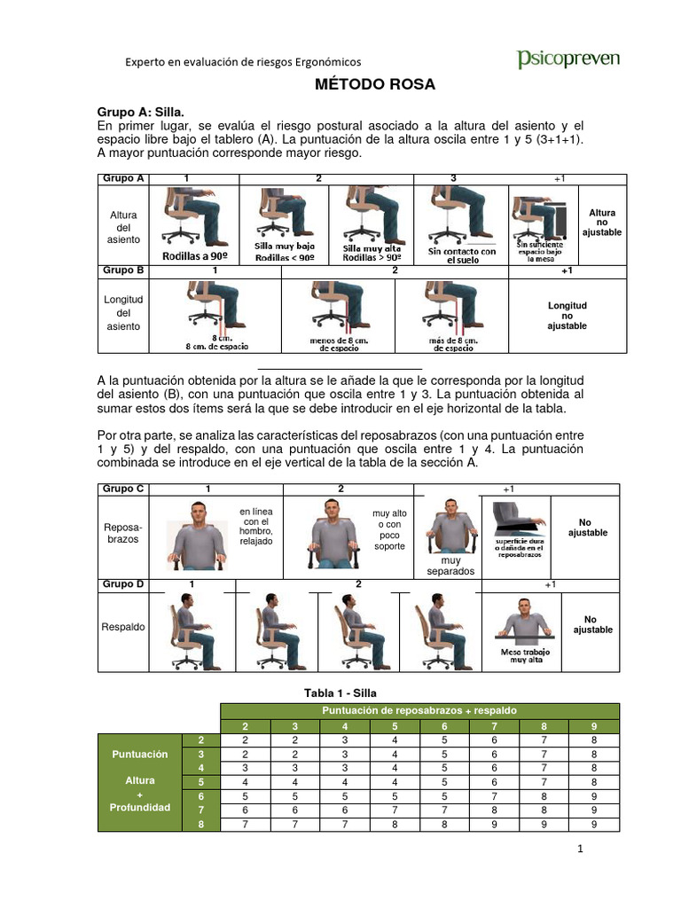 Formato Metodo Rosa | PDF | Factores humanos y ergonomía
