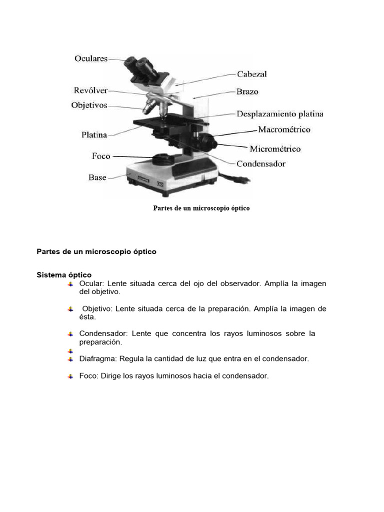 Guía del Microscopio Óptico | PDF | Salud y bienestar | Tecnología