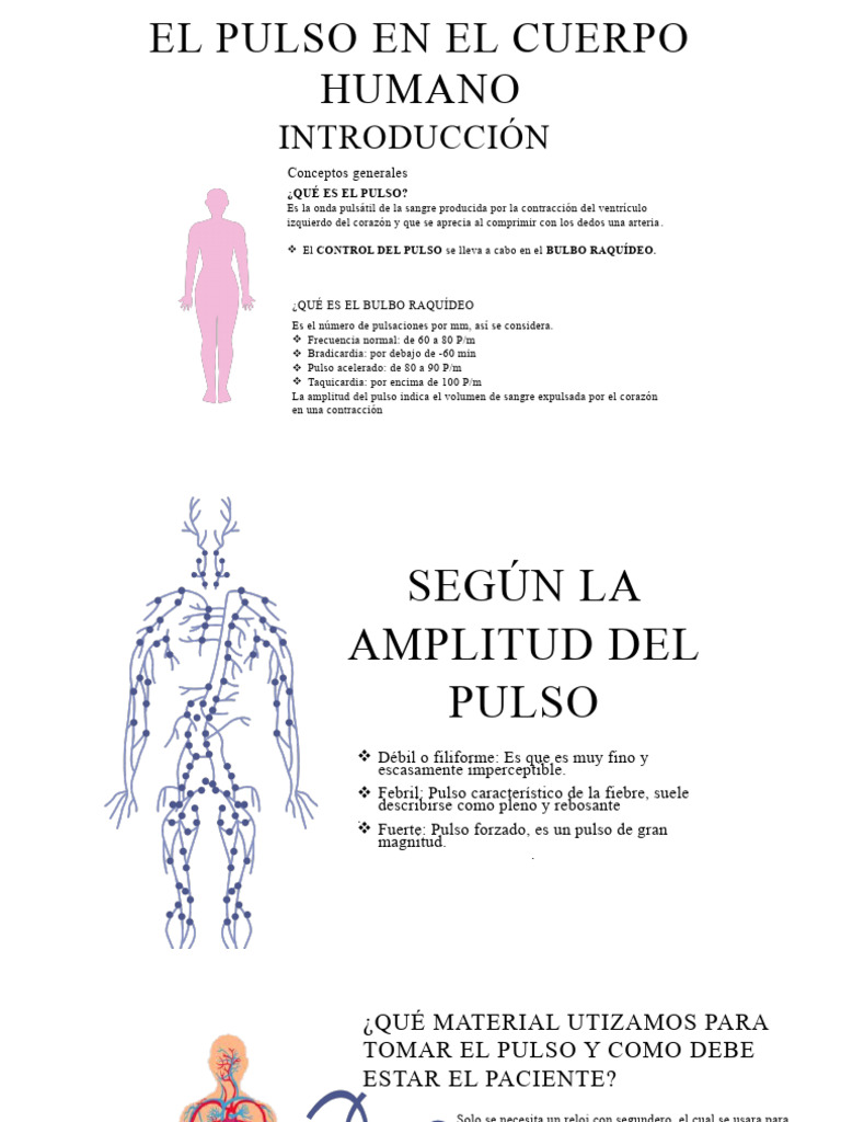 EL PULSO_DIAPOSITIVAS | PDF | Legumbres | Sistema cardiovascular