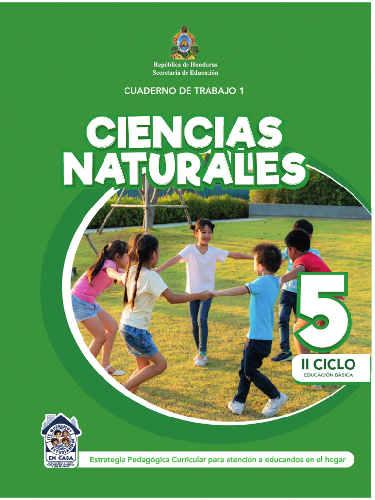 CT1_CCNN_5to_grado_SE_2020 | PDF | Adolescencia | Oído