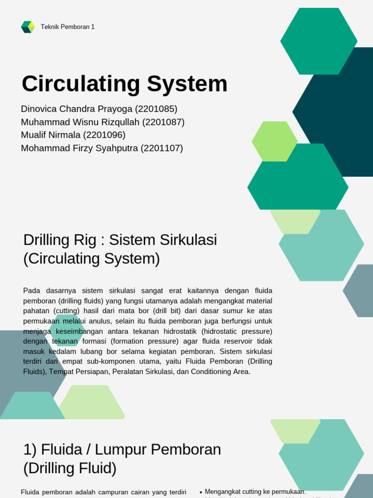 Circulating System | PDF