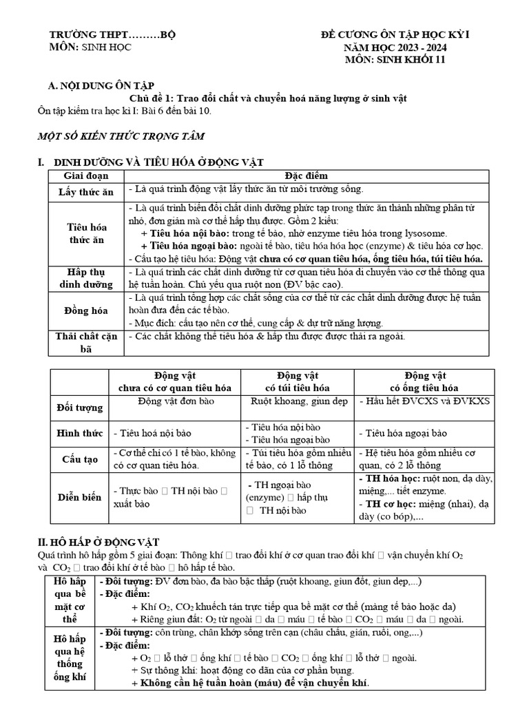 Sinhhoc 11 de Cuong On Tap Hoc Ki 1 Canh Dieu | PDF