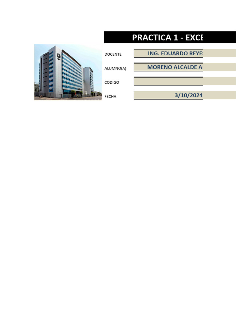 Práctica de Excel Básico | PDF
