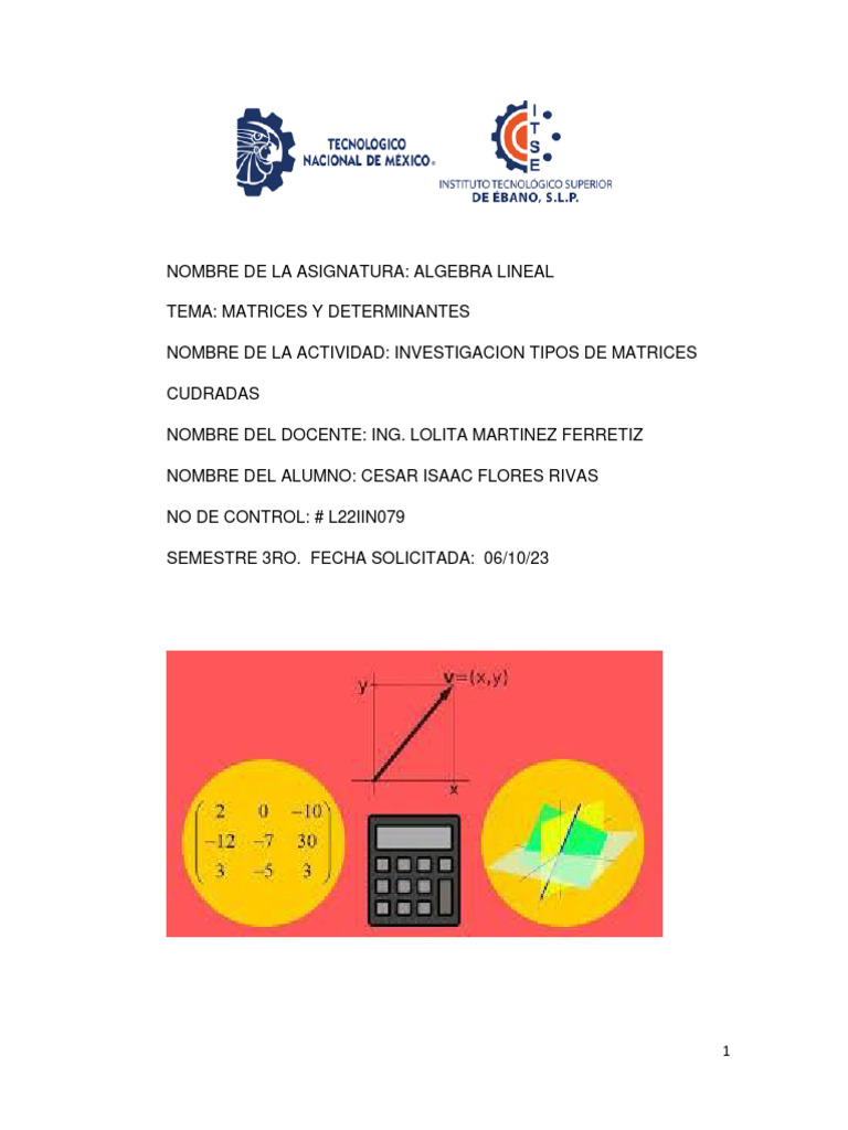 Investigacion Tipos de Matriz Cudrada 22iin079 | PDF | Matriz ...