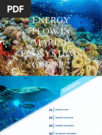 Coral Identification Guide for Divers | PDF | Coral | Coral Reef