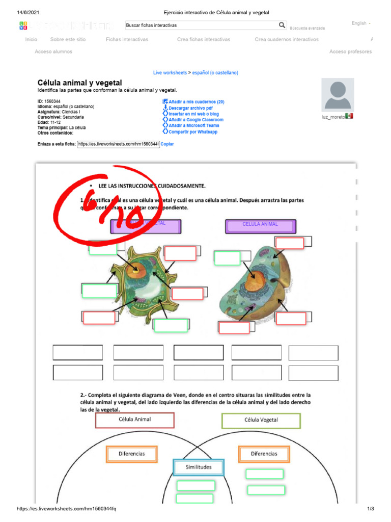 Ejercicio interactivo de Célula animal y vegetal NICOLE RUIZ | PDF ...
