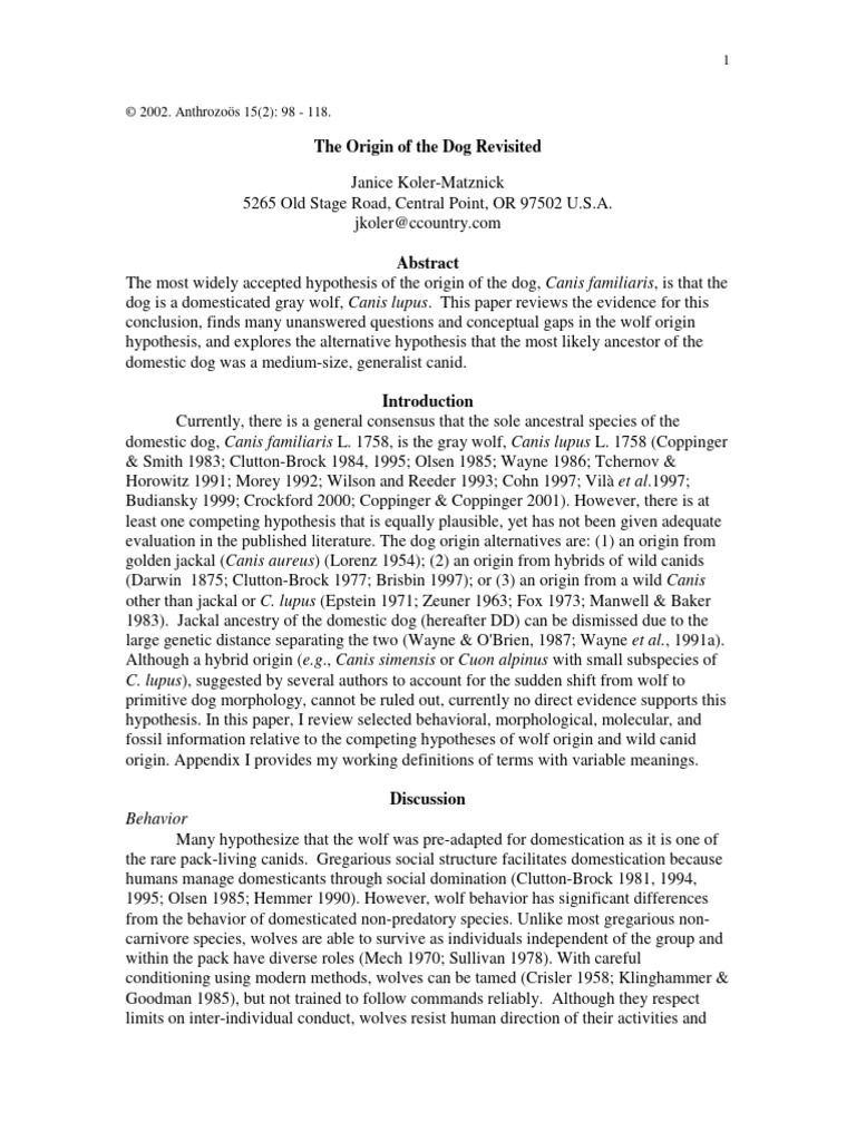 Origin of The Dog | PDF | Canis | Dogs