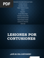 Medicina Legal - Agentes Contundentes y Lesiones (Der-204, Grupo A1) | PDF