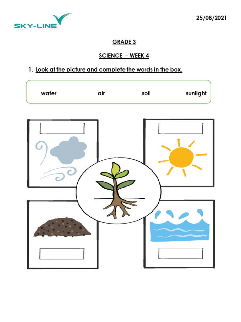Handout 4_Week 4_Science_Grade 3 | PDF