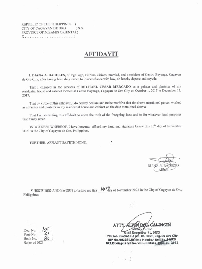 AFFIDAVIT_2 | PDF