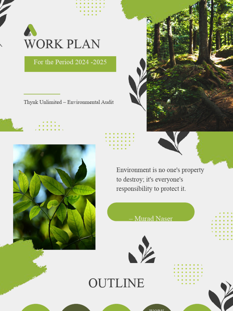 Environmental Audit Work Plan | PDF | Environment | Natural Environment