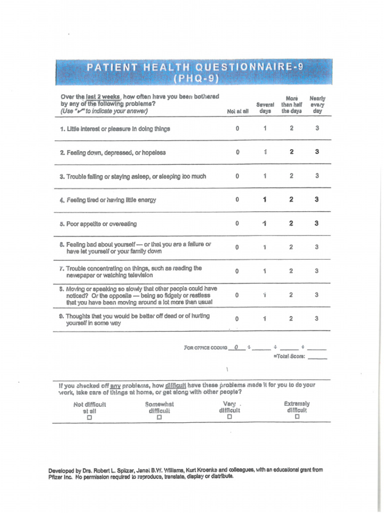 Adult Patient Health Questionnaire PHQ9 GAD7 | PDF