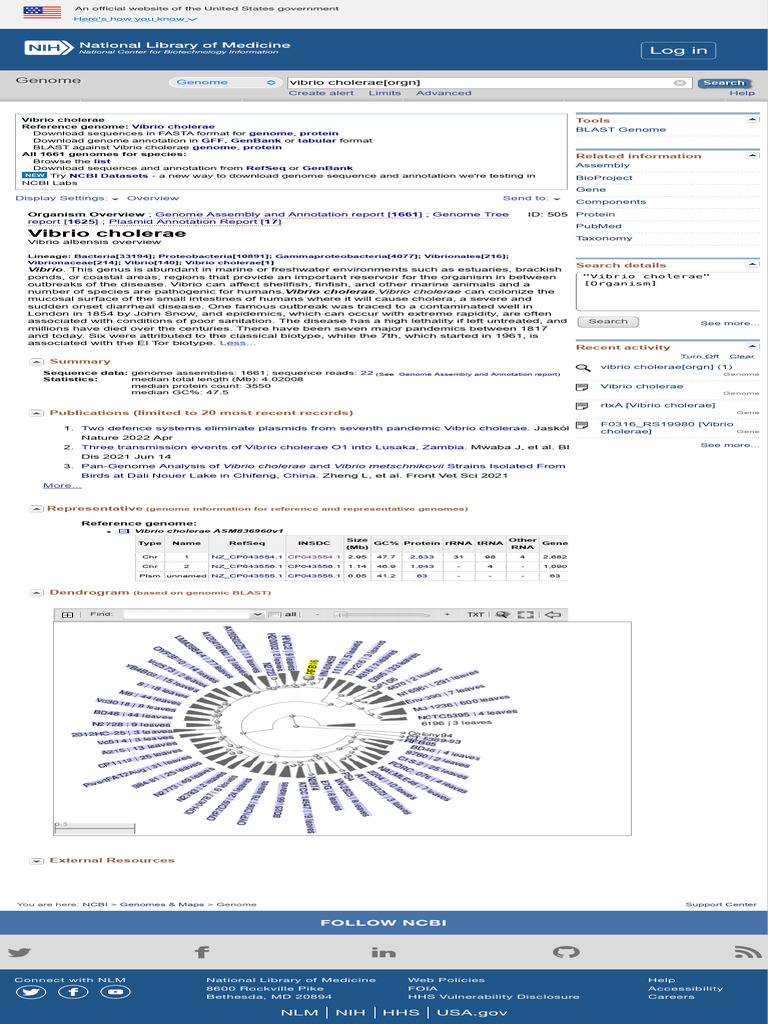 Vibrio Cholerae (ID 505) - Genome - NCBI | PDF | Cholera | National Center For Biotechnology ...