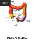 Escala de Boston | PDF | Ciencia y matemáticas