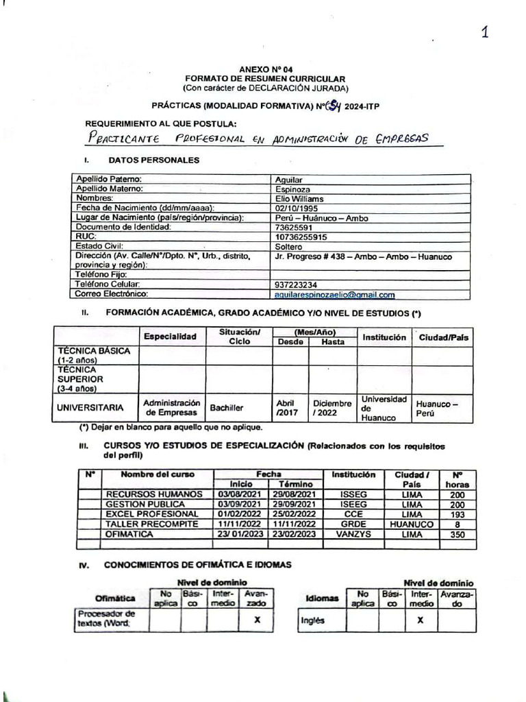 CV Documentado Itp | PDF