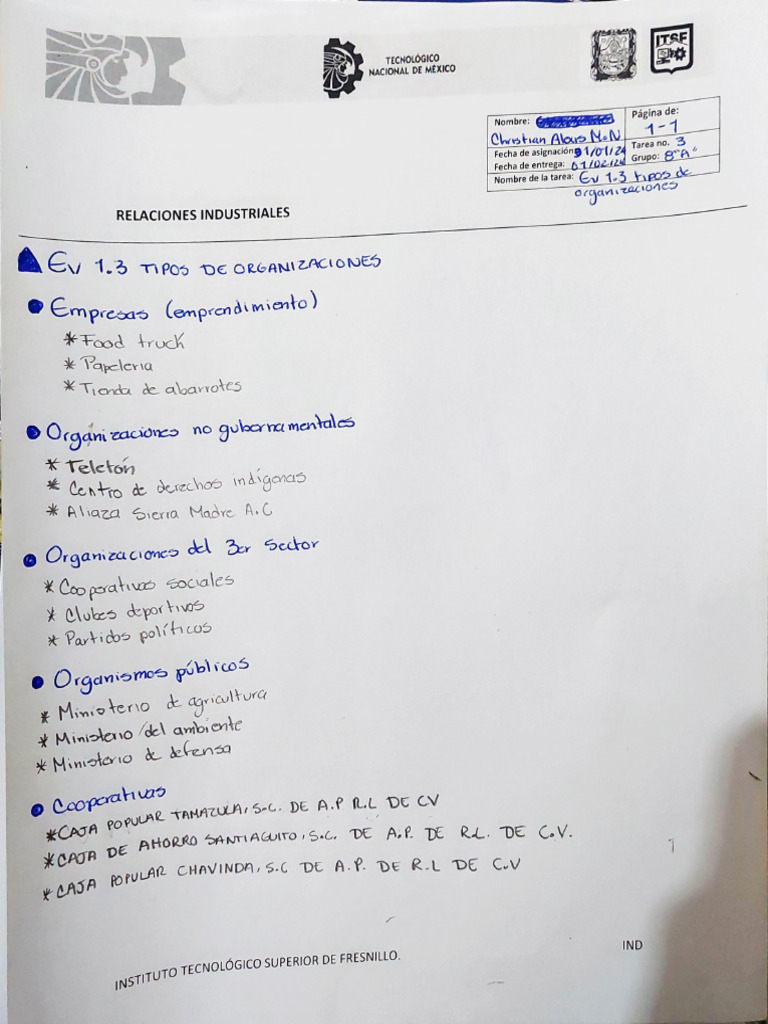 EV 1.3 TIPOS DE ORGANIZACIONES | PDF