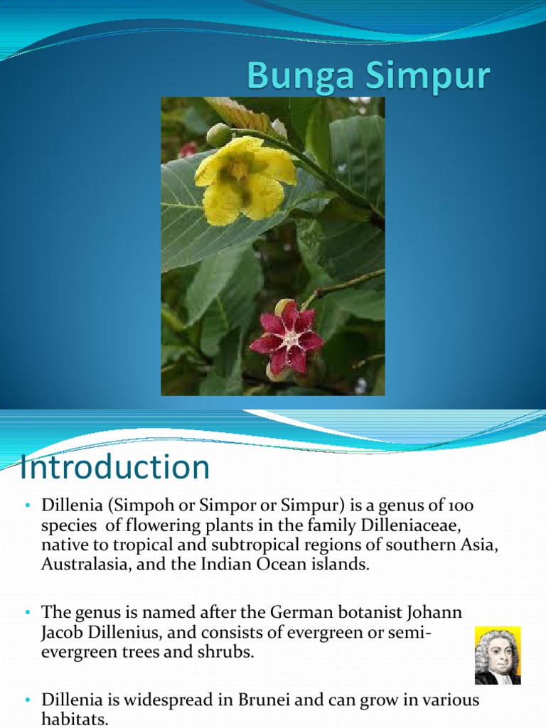 Bunga Simpur | PDF | Landscape | Plants