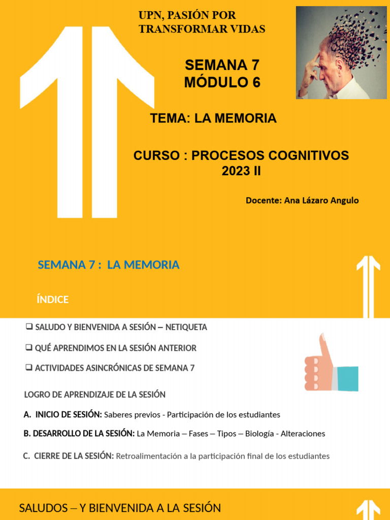 Memoria: Fases, Tipos y Alteraciones | PDF | Memoria | Ciencia cognitiva
