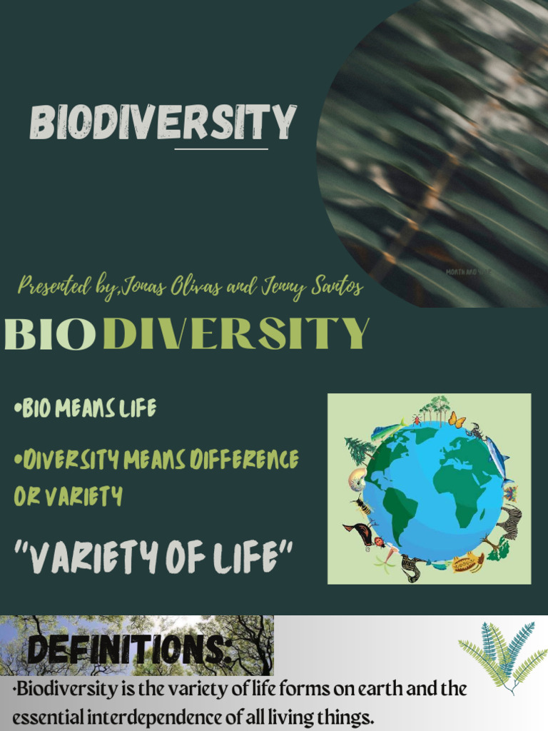 Biodiversity 101 | PDF | Biodiversity | Conservation Biology