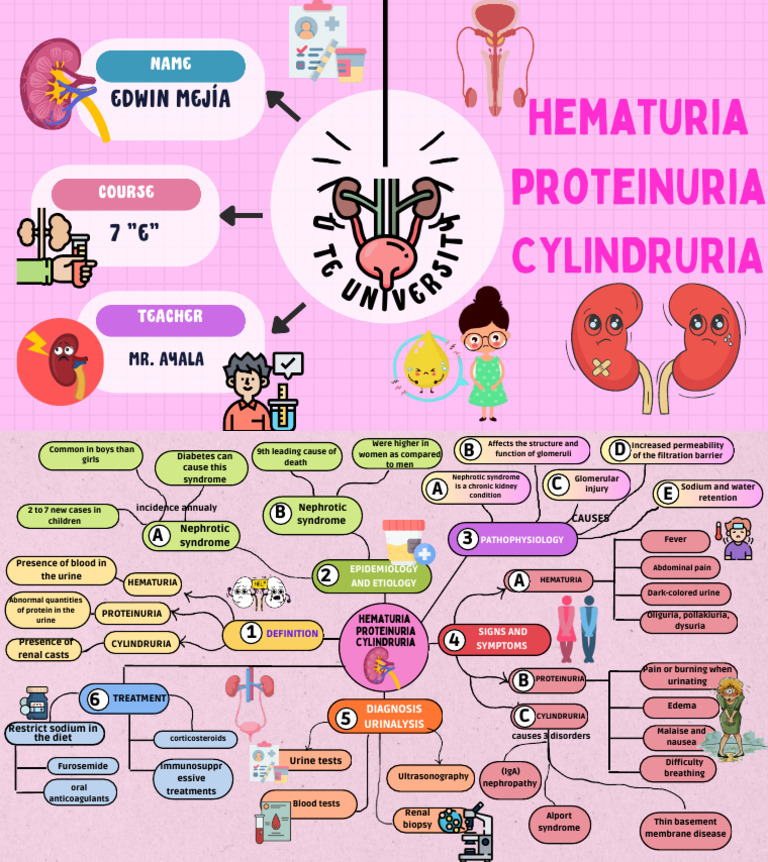 Hematuria, Proteinuria and Cylindruria | PDF | Nephrology | Organ (Anatomy)