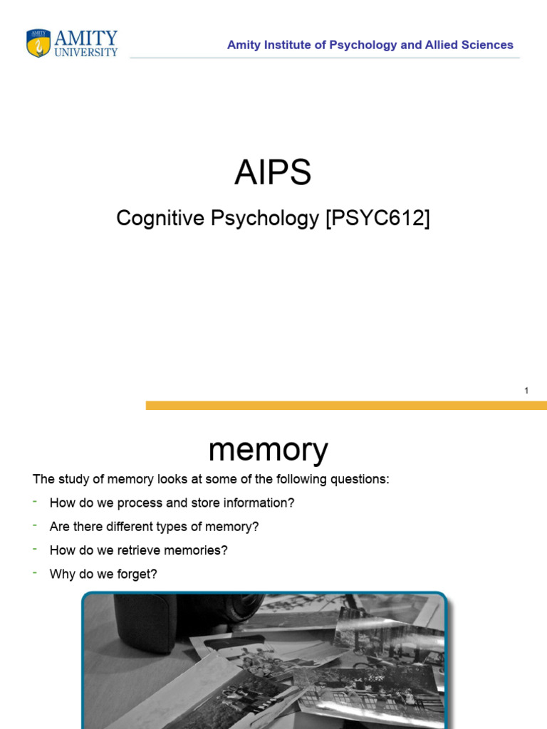 Cognitive Psychology - Module 5 | PDF | Memory | Working Memory