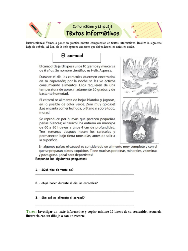 Hoja de Trabajo Comunicación y Lenguaje | PDF