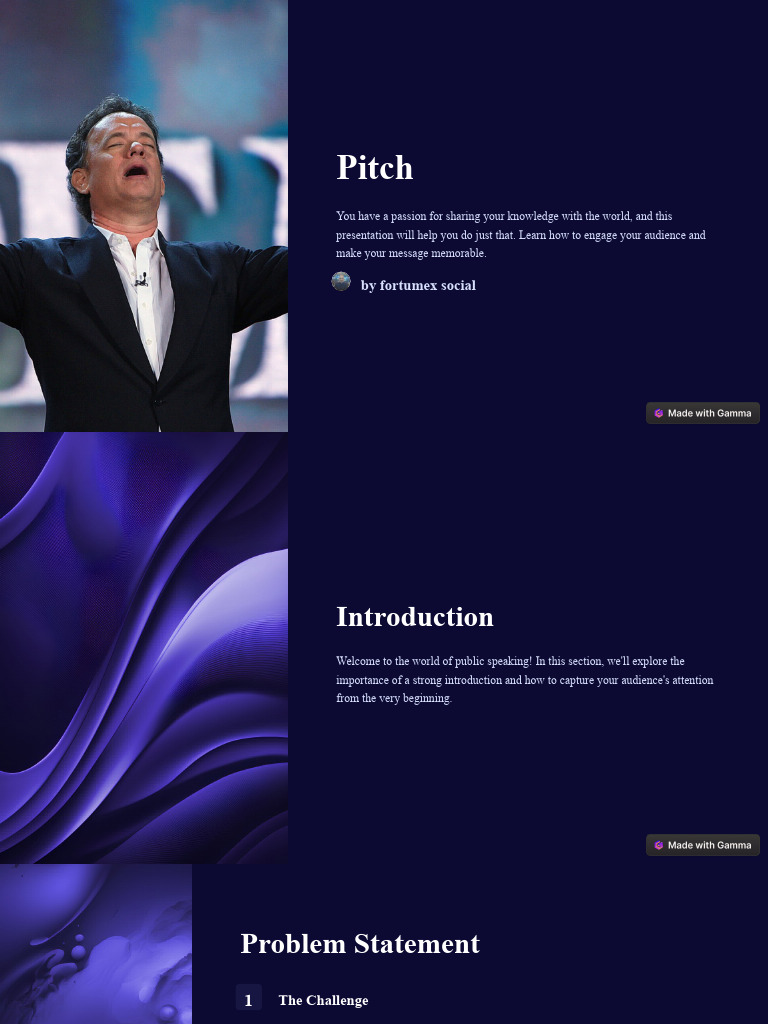 Pitch | PDF | Storytelling | Target Audience