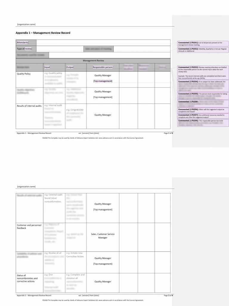 18.1 Appendix 1 Management Review Record Preview EN | PDF