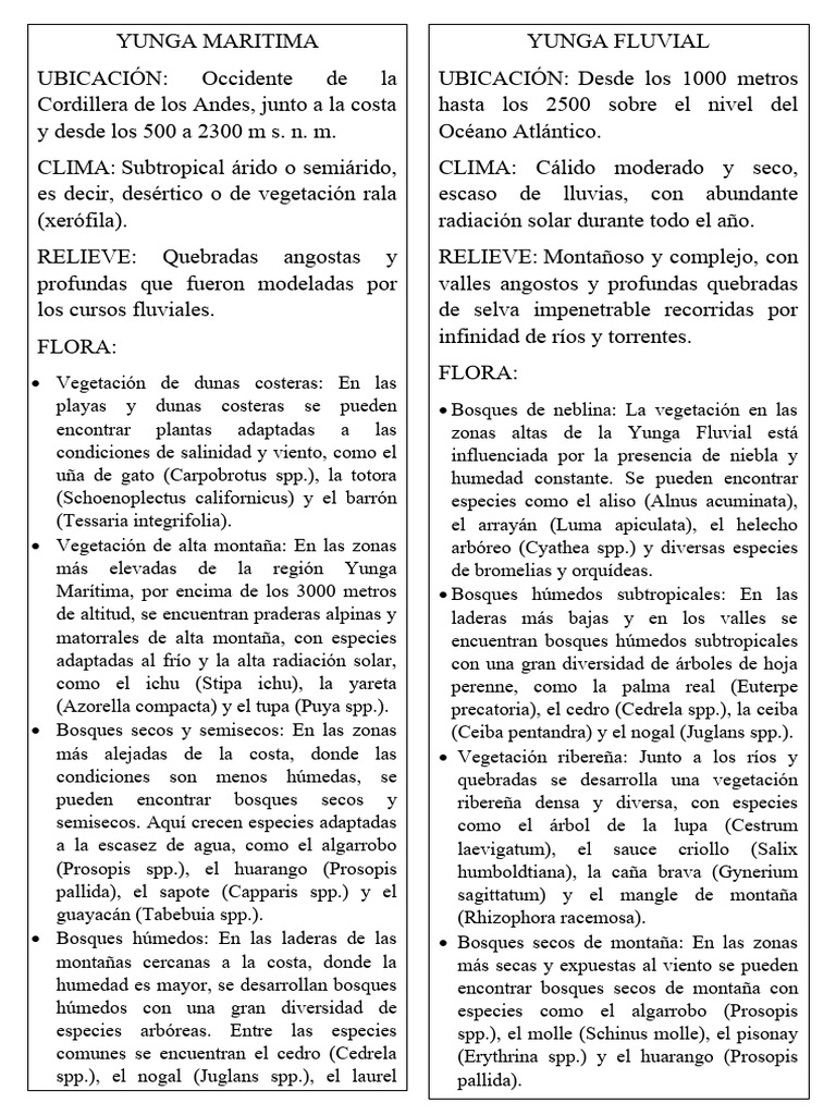 Region Yunga y Quechua | PDF