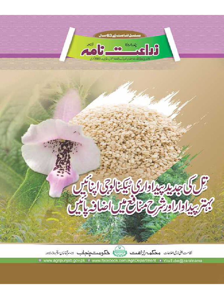 15 March Zarat Nama | PDF
