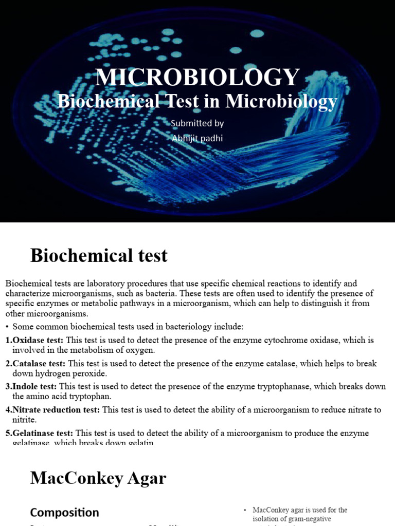 MICROBIOLOGY Biochemical Test | Download Free PDF | Nitrate | Bacteria