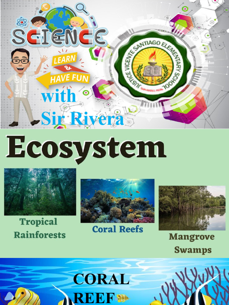 Ecosystem-Coral Reef | PDF