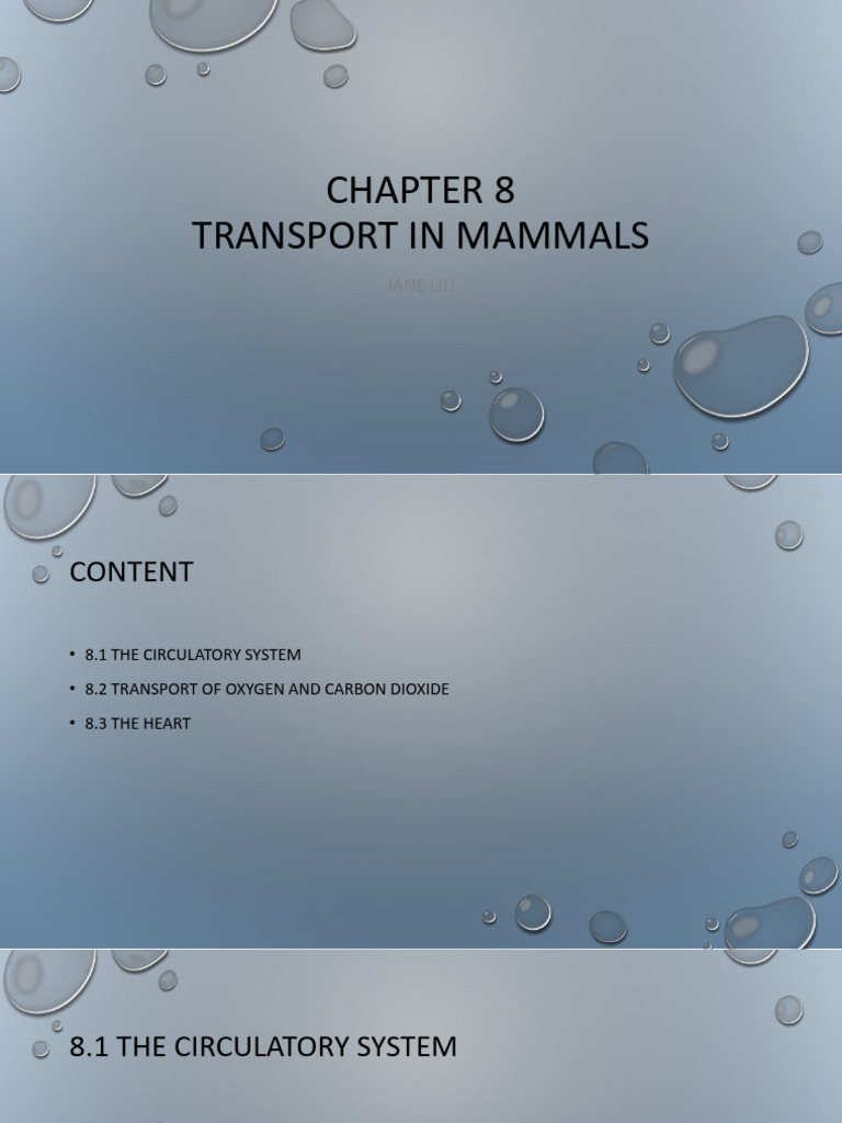 3 - Chapter 8-Transport in Mammals | PDF | Artery | Heart