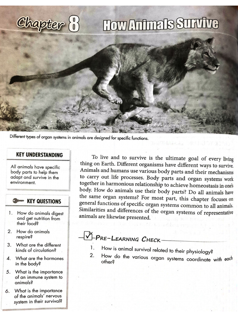 STEM - 4TH QUARTER-How Animals Survive - DOCS | PDF