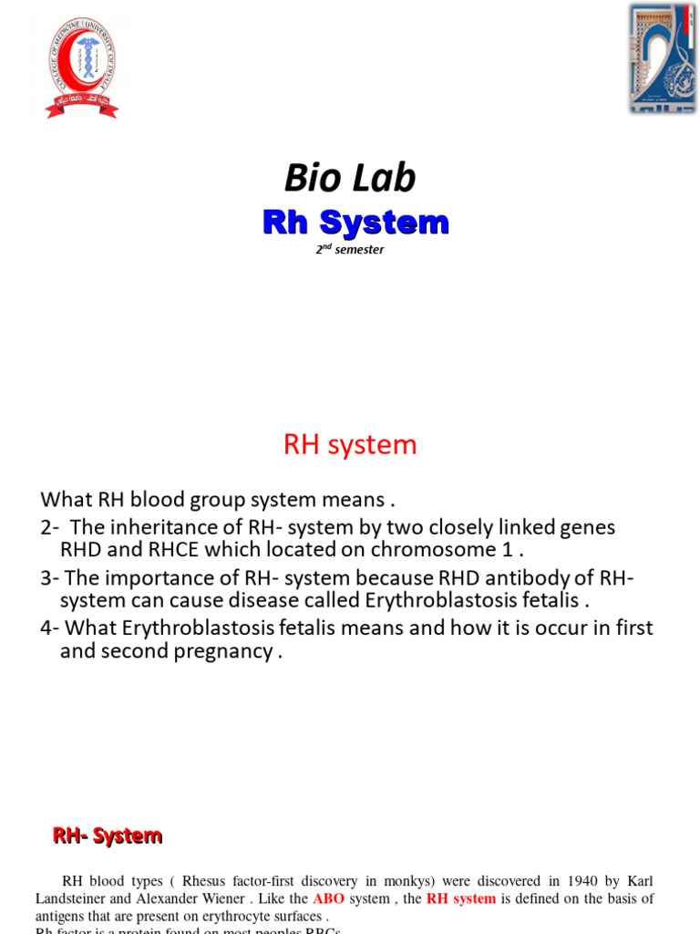 RH System | PDF | Blood Type | Medical Specialties