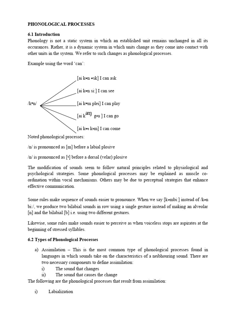 PHONOLOGICAL PROCESSES 1 | PDF | Syllable | Consonant