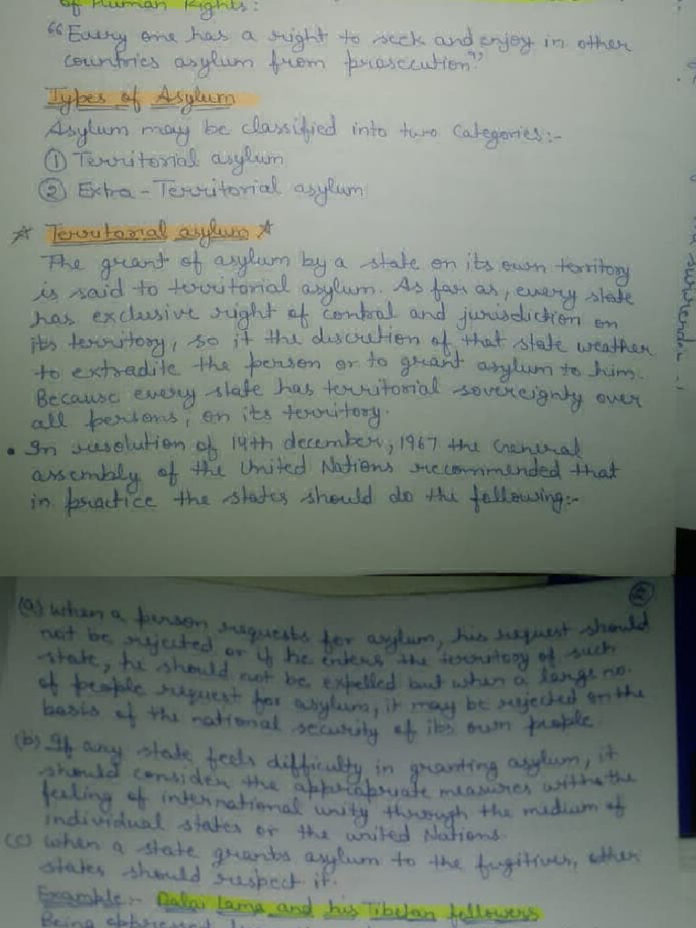 Understanding Asylum Types and Extradition | PDF
