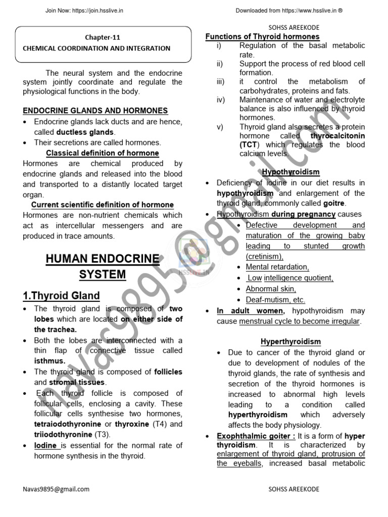 Hsslive - Xi - 11 - Chemical 2023 | PDF | Adrenal Gland | Hypothalamus