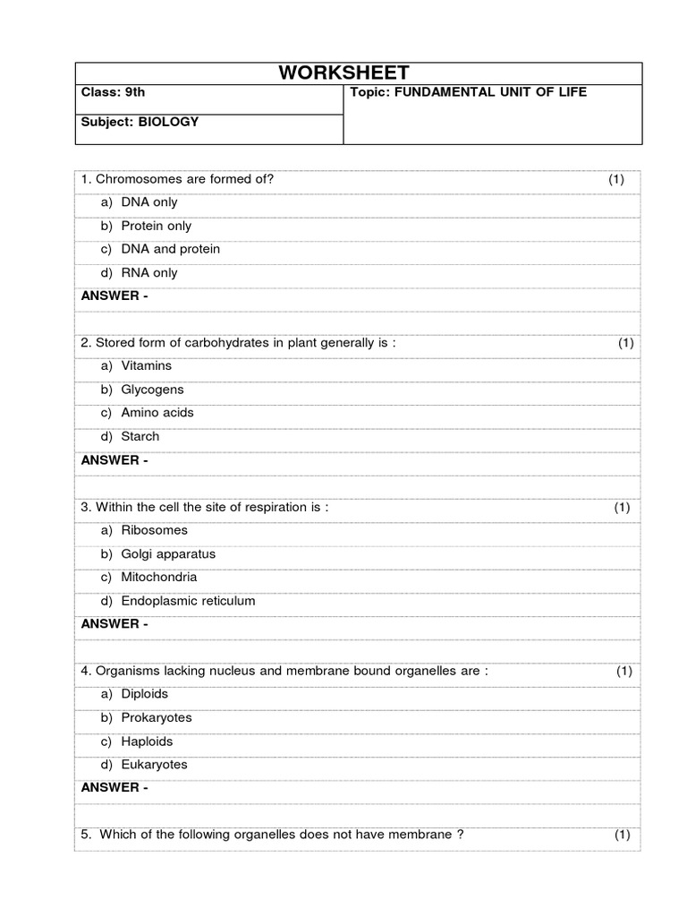 Worksheet - The Fundamental Unit of Life | PDF | Cell (Biology) | Organelle
