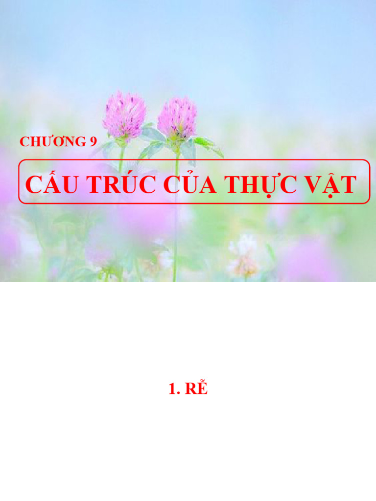 Cdtc-thực Vật Học | PDF