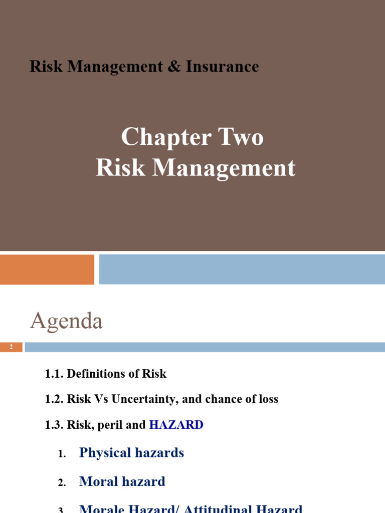 Risk Managemennt Chapter 2 - AAU - 2020 | PDF | Risk | Risk Management