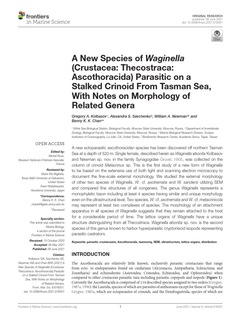 Kolbasov Et Al. (2021) Waginella Ebonita N. Sp. & Notes On Morphology ...