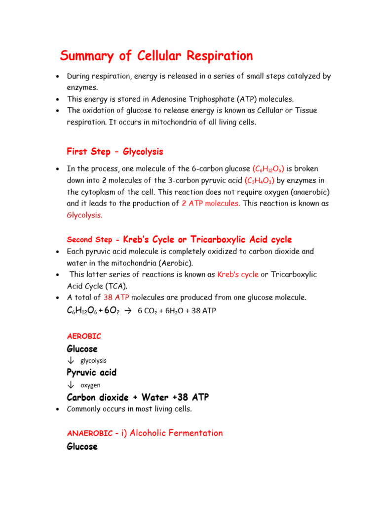 Summary of Cellular Respiration | PDF | Cellular Respiration | Glycolysis