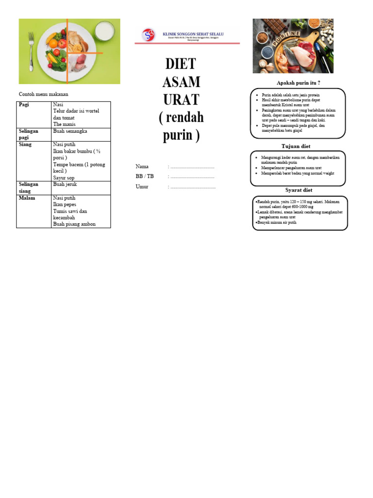 Leaflet Rendah Purin 1 | PDF
