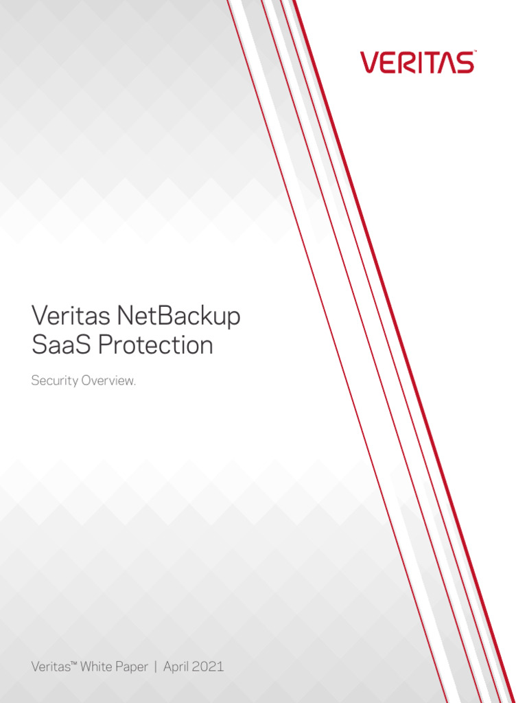 V1328_nsp_saas security_overview | PDF | Cloud Computing | Software As ...