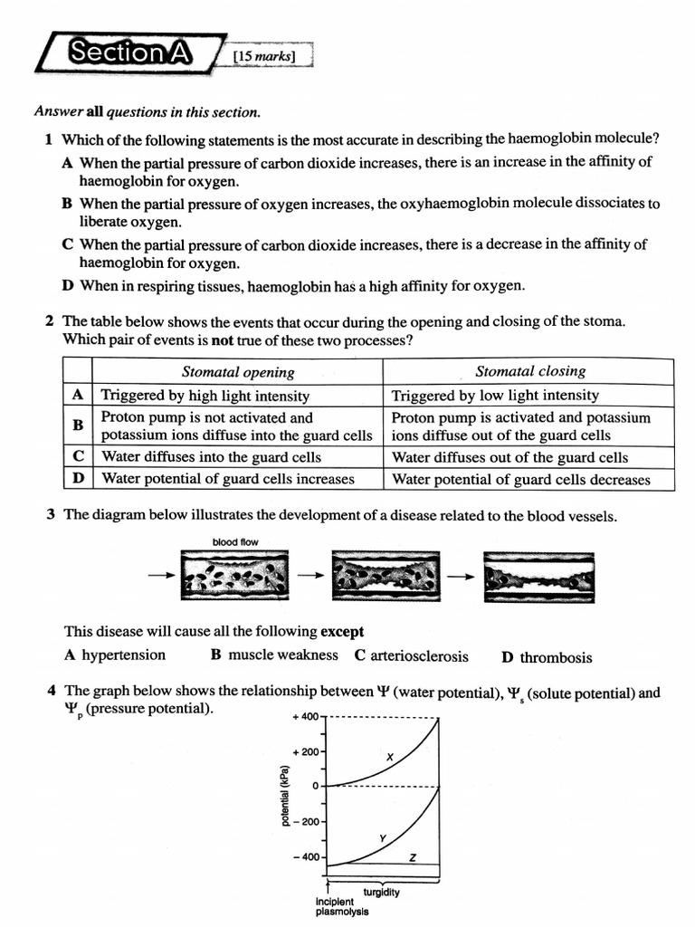 Bio Term 2 SET 1 | PDF
